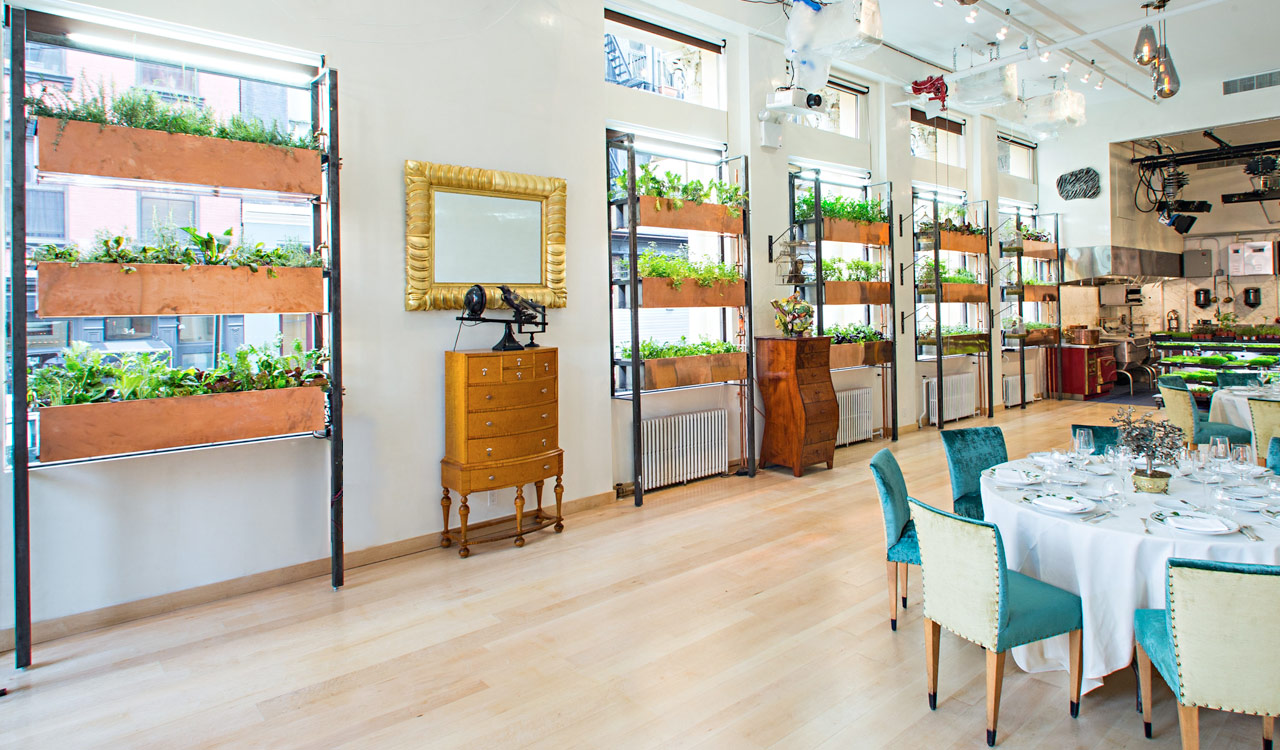 Bouley at Home | NYC Restaurant | Private Dining Rooms